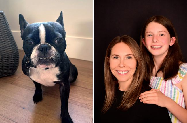 About Olive Root Foundation - Dental Care & Oral Hygiene